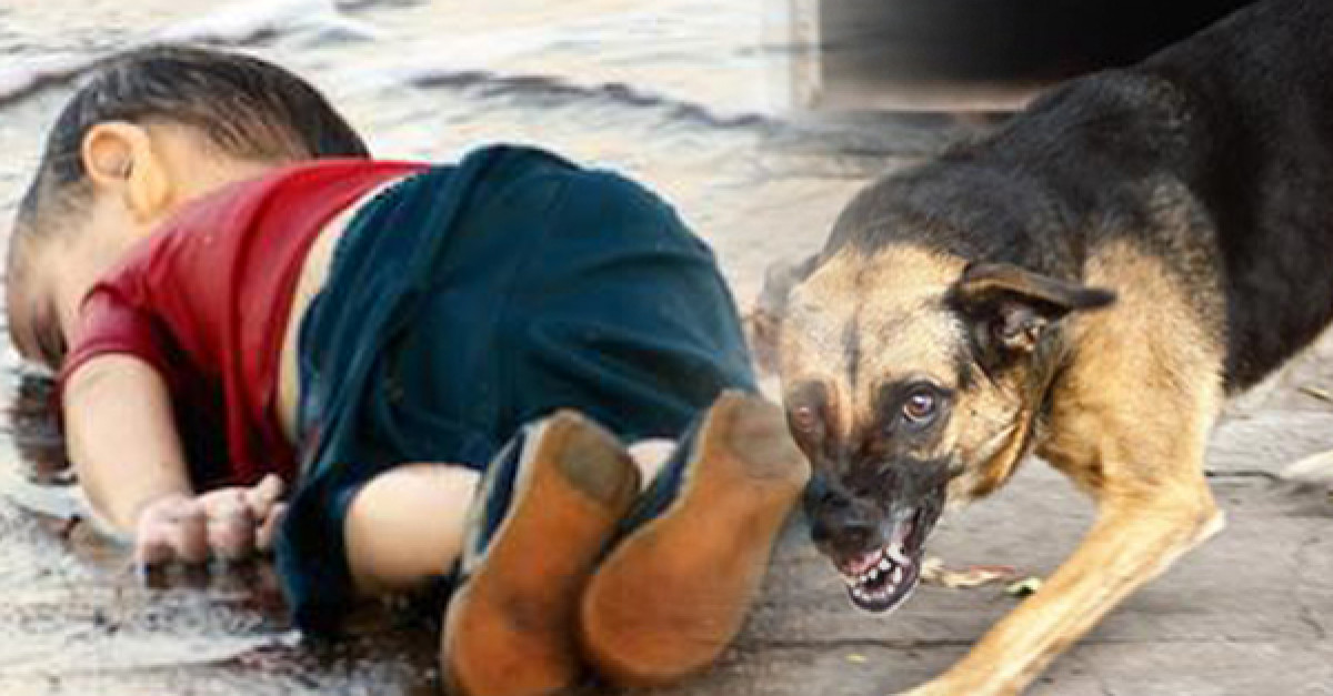 Бага насны хүүхэд нохойд хазуулж, гэмтжээ · Dorgio.mn