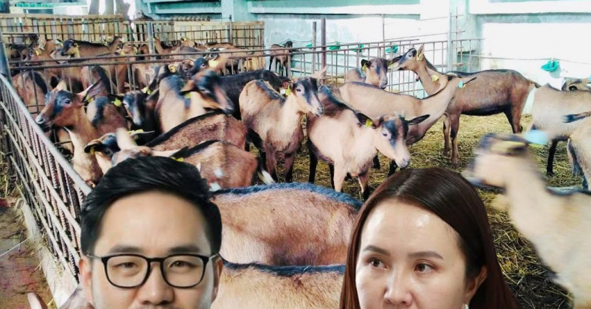 Экс нөхөр нь Ч.Ундрамынхнаас 2 сая доллар зувчуулсан гэв · Dorgio.mn