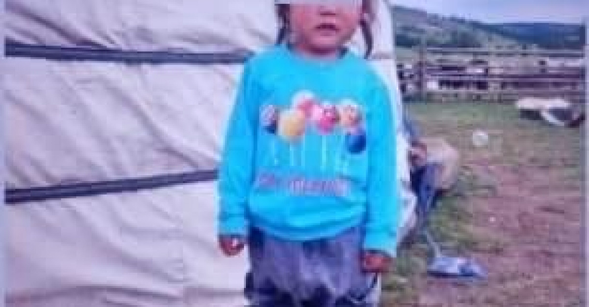 ЦЕГ: Ар гэрээс нь өгсөн зургийн дагуу хүүхдийн зургийг нийтэлсэн · Dorgio.mn