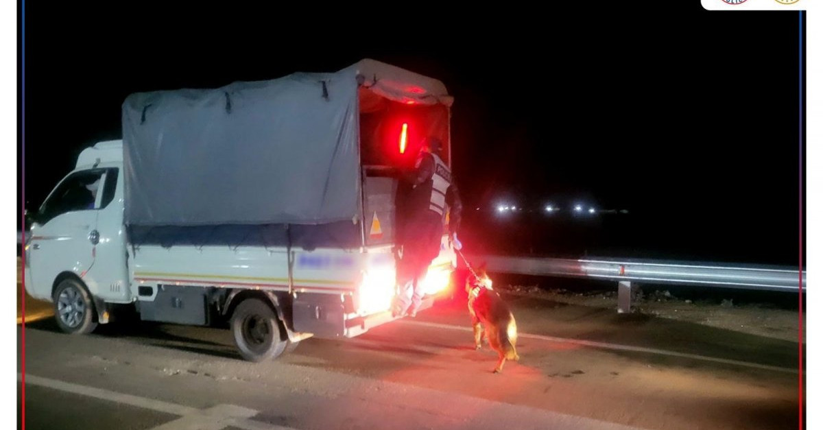 “Тархцын хяналт-2025” нэгдсэн арга хэмжээний хүрээнд 21 гэмт хэргийг илрүүллээ · Dorgio.mn