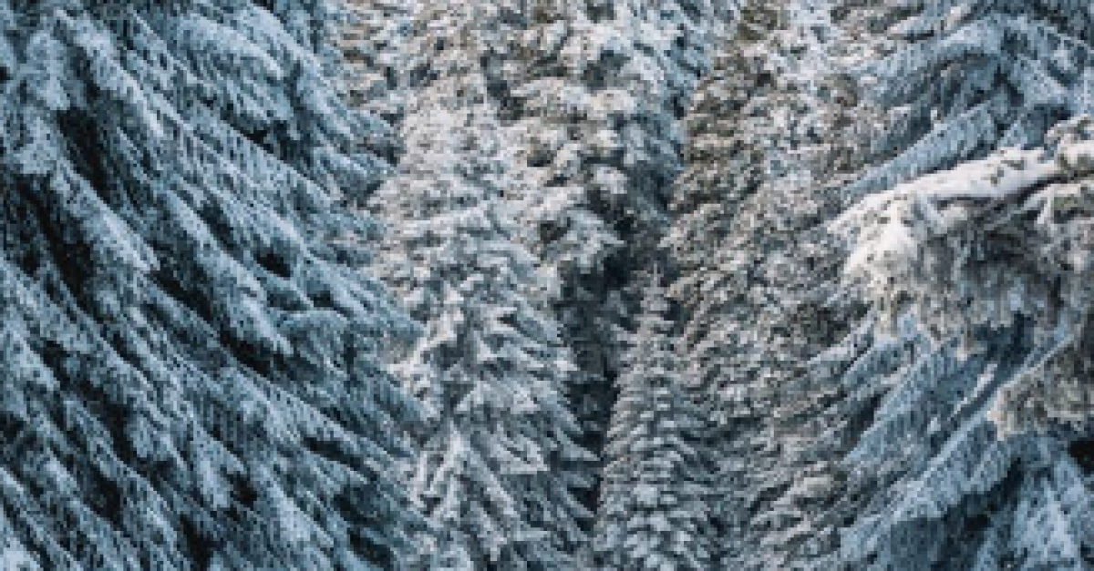 Энэ сарын 21-ний өдөр хүртэл ихэнх нутгаар хүйтний эрч чанга хэвээр байна · Dorgio.mn